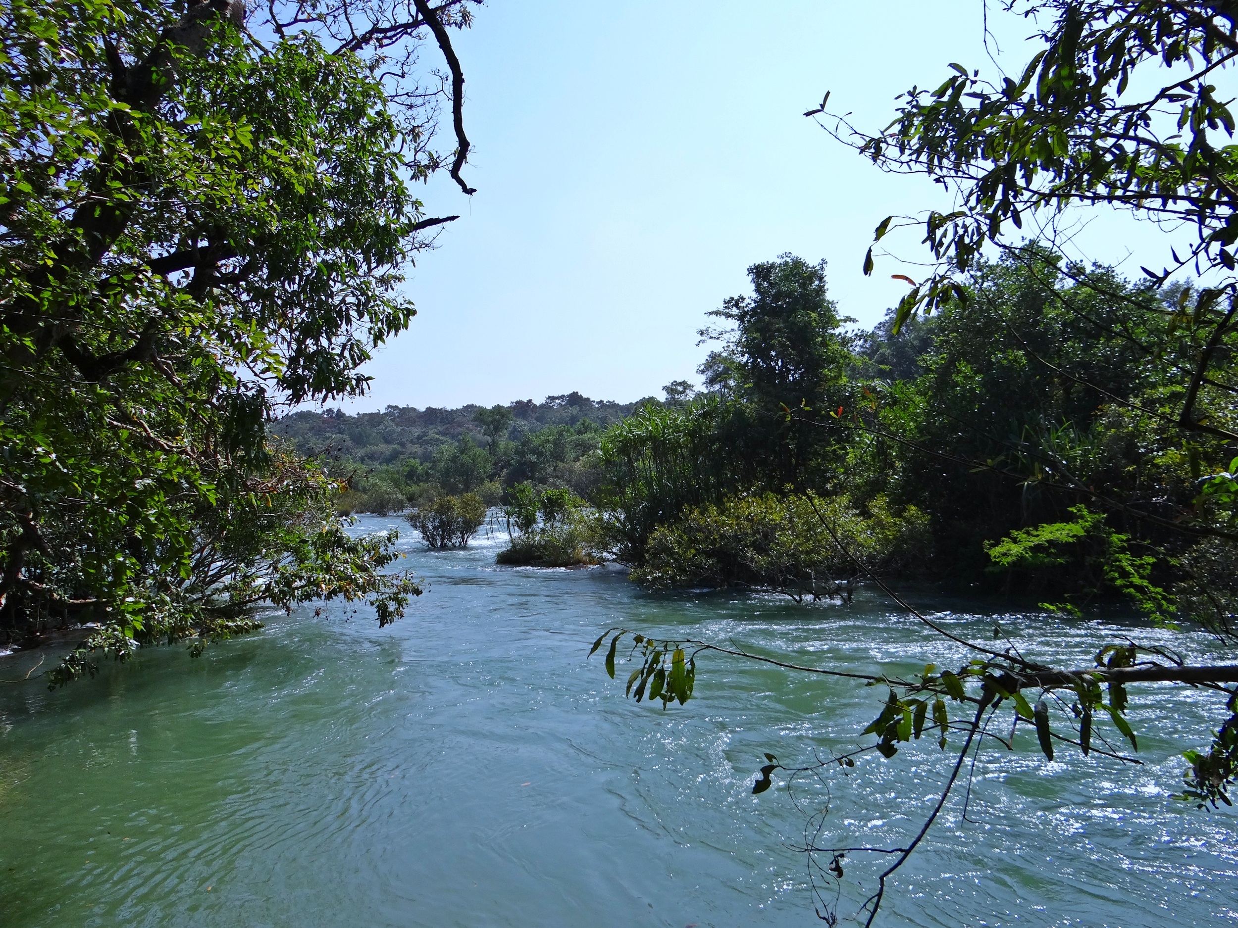 «DANDELI» HD wallpapers