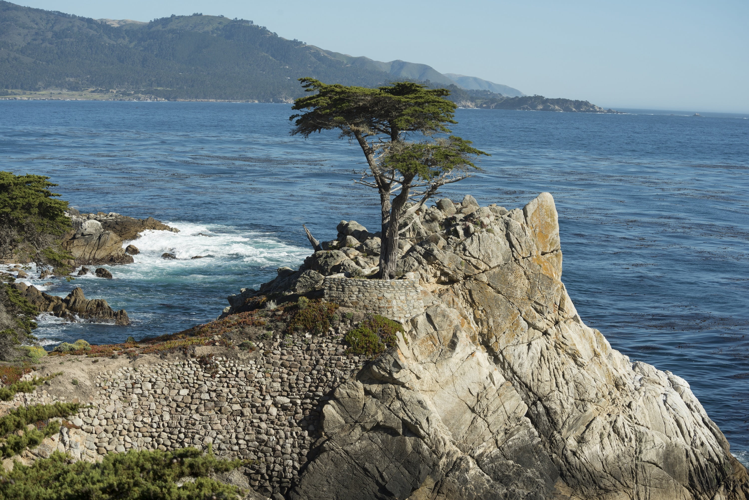 usa, scenery, coast, tree, beach, 2K, trees, sky, green, highsmith ...