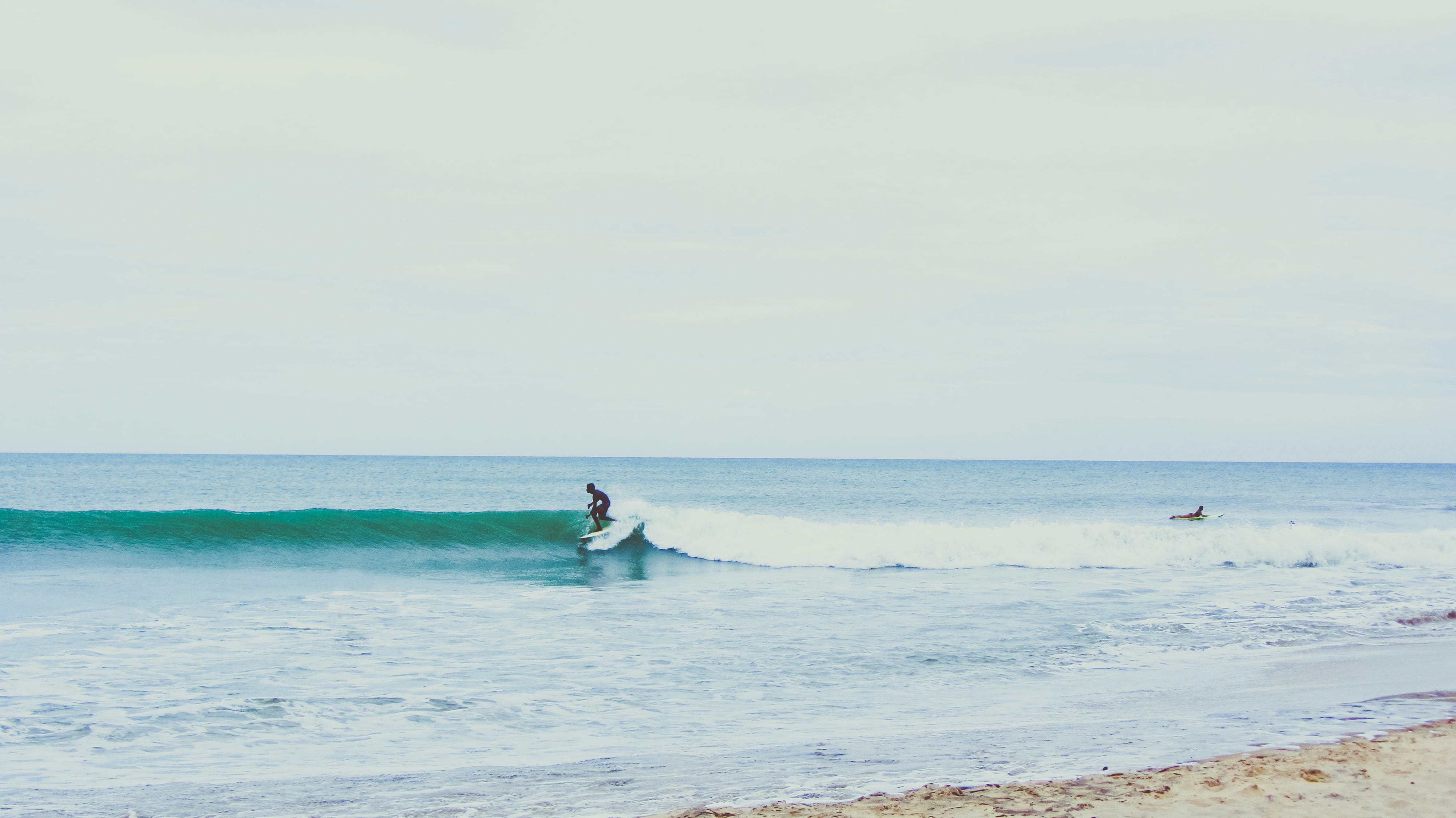 land, horizon over water, outdoors, wave, horizon, summer, sand, green ...