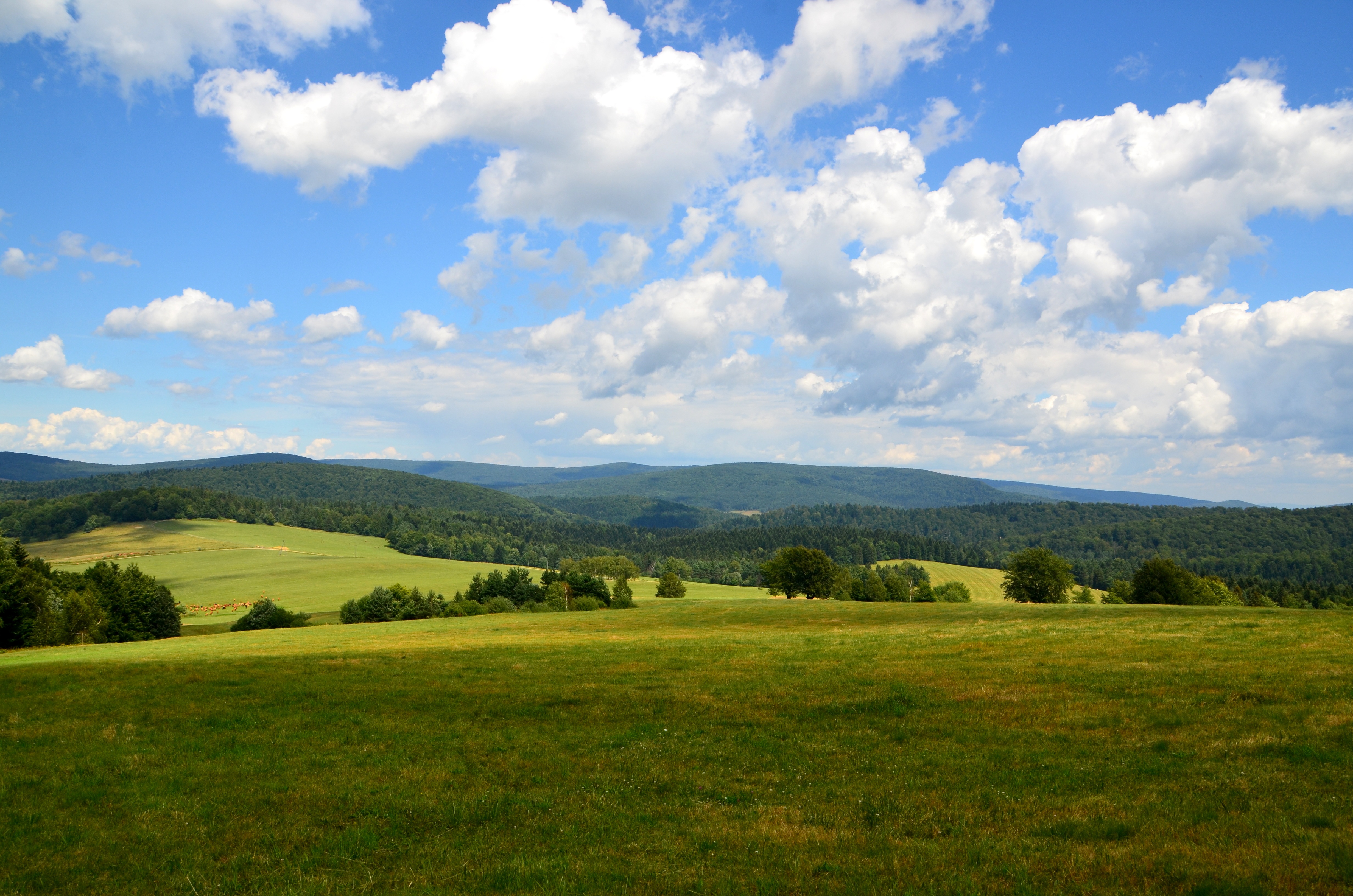 tranquil scene, cloud - sky, poland, green color, environment ...