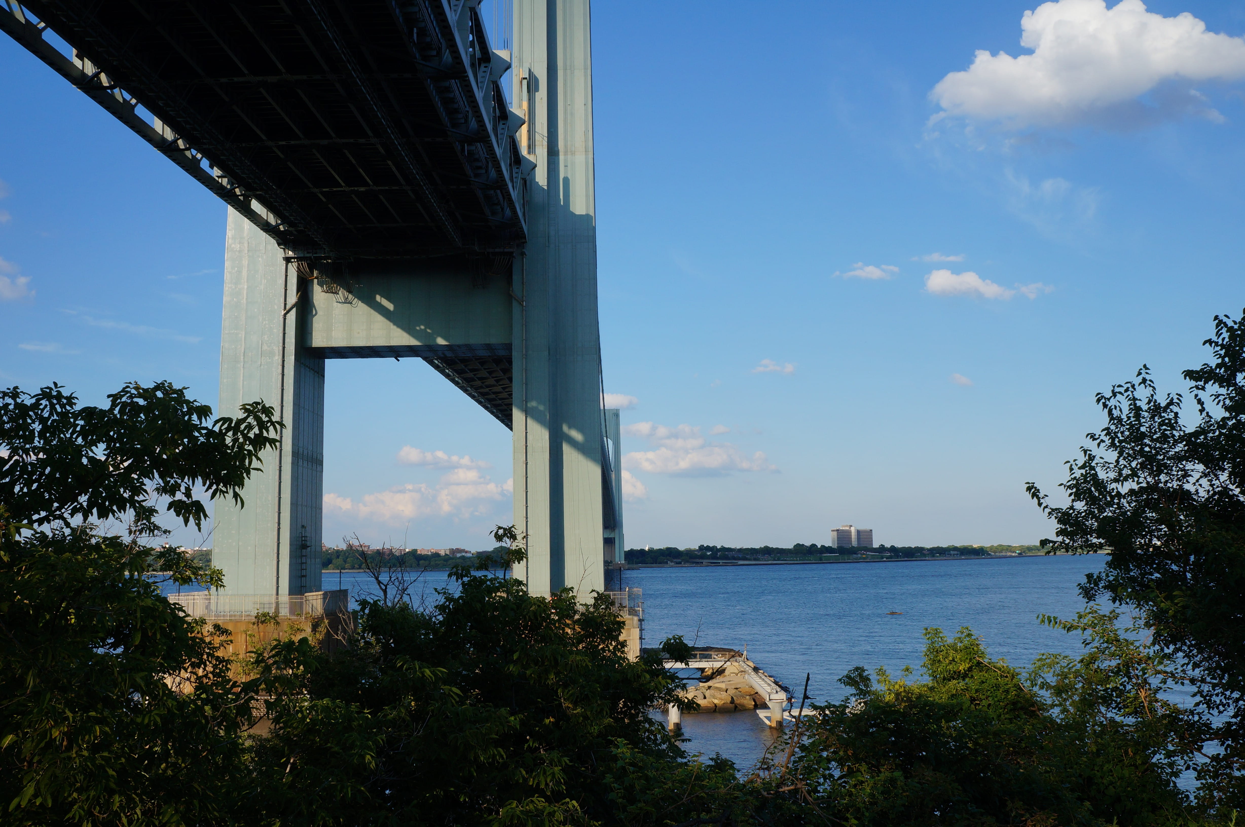 tree, staten island, metropolis, Bridge, landmark, sky, sea, water, New ...