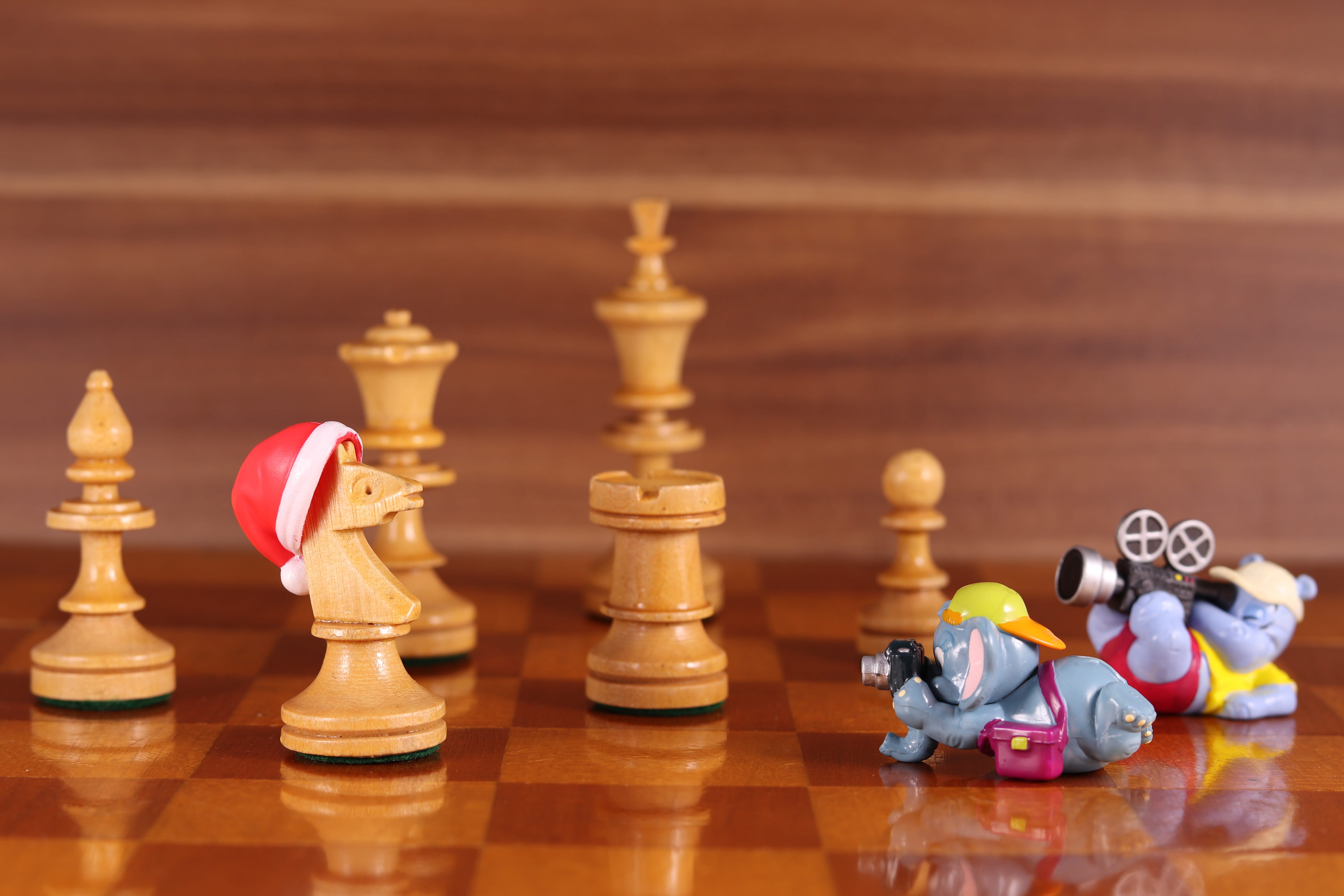 king - chess piece, indoors, leisure games, relaxation, knight - chess ...