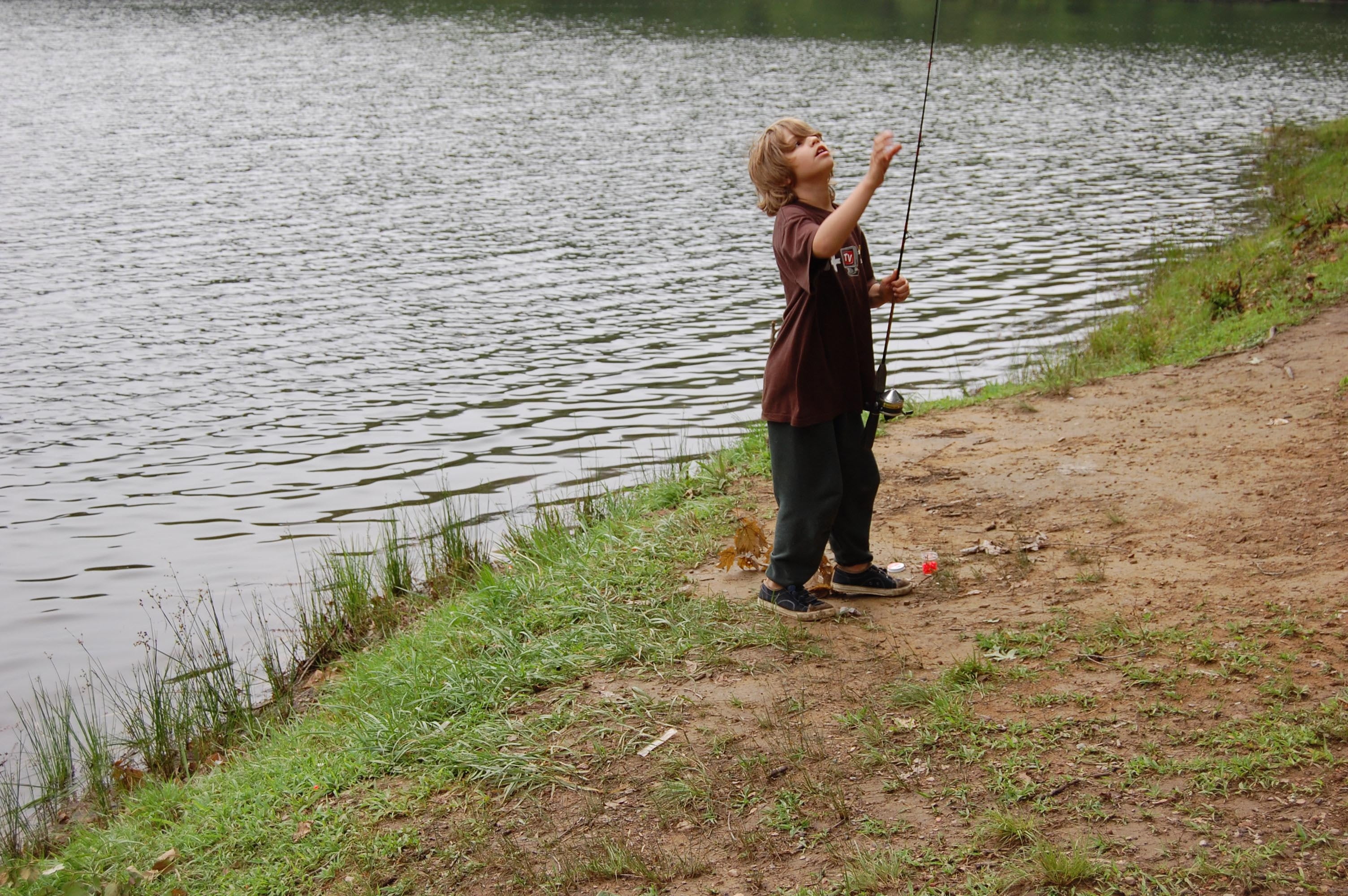 lakeshore, real people, day, human arm, plant, recreational Pursuit ...