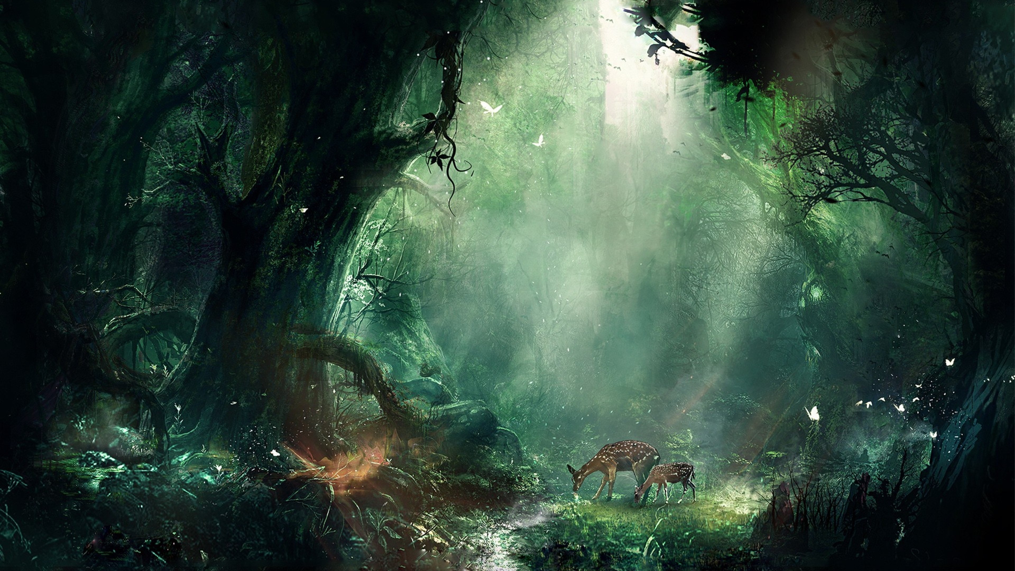 creative 4k widescreen hd, 4K HD Wallpaper