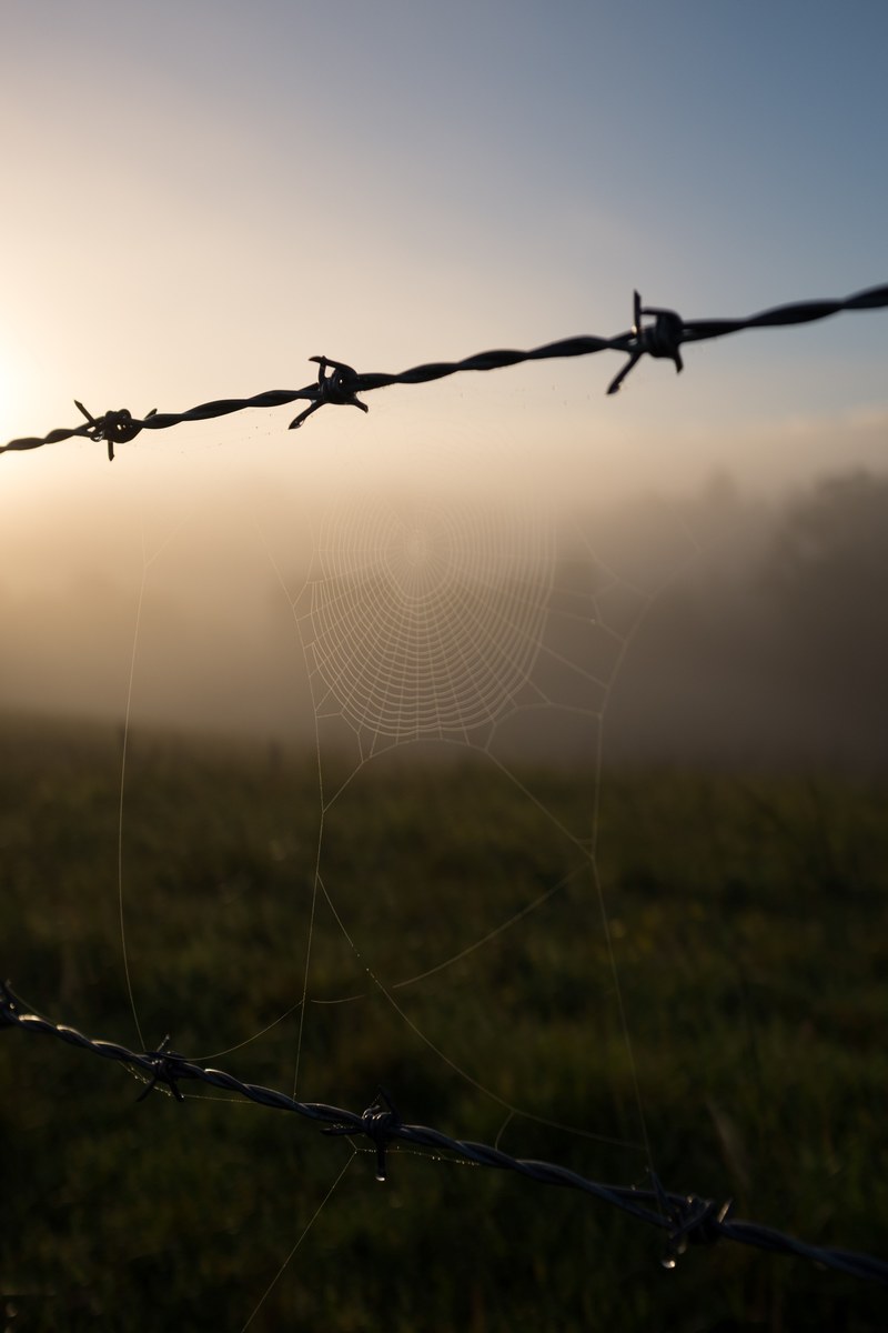 wired 4k Phone HD Wallpaper