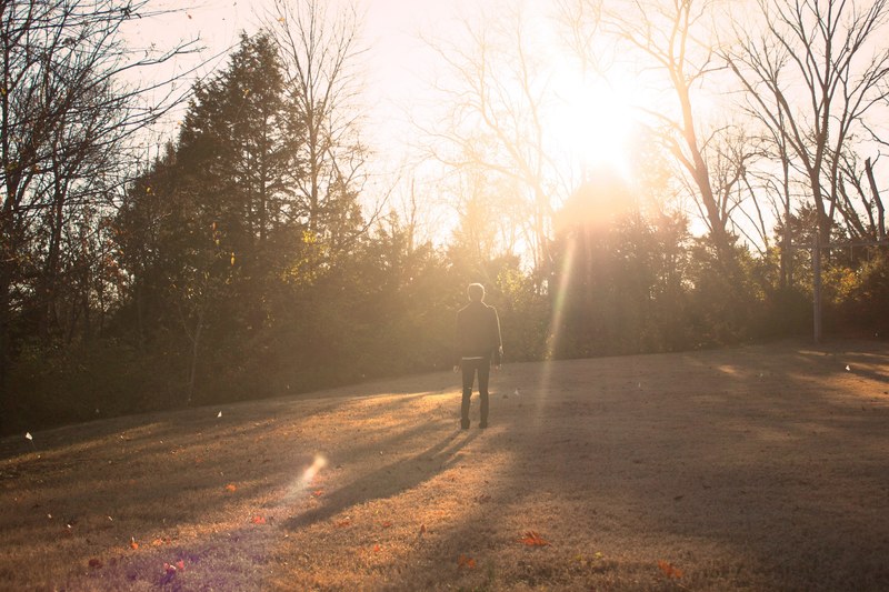 Wallpaper ID: 221909 / morning afternoon sun and sunlight hd 4k ...