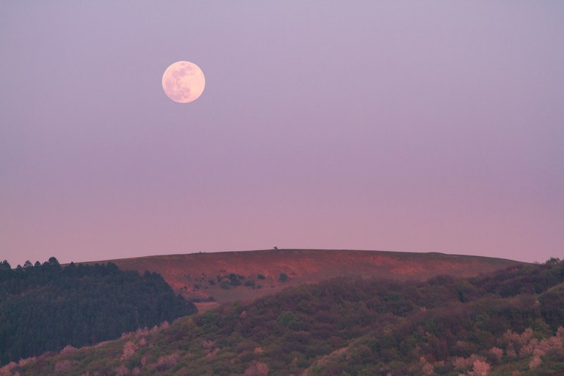 moonrise kingdom 4k HD Wallpaper