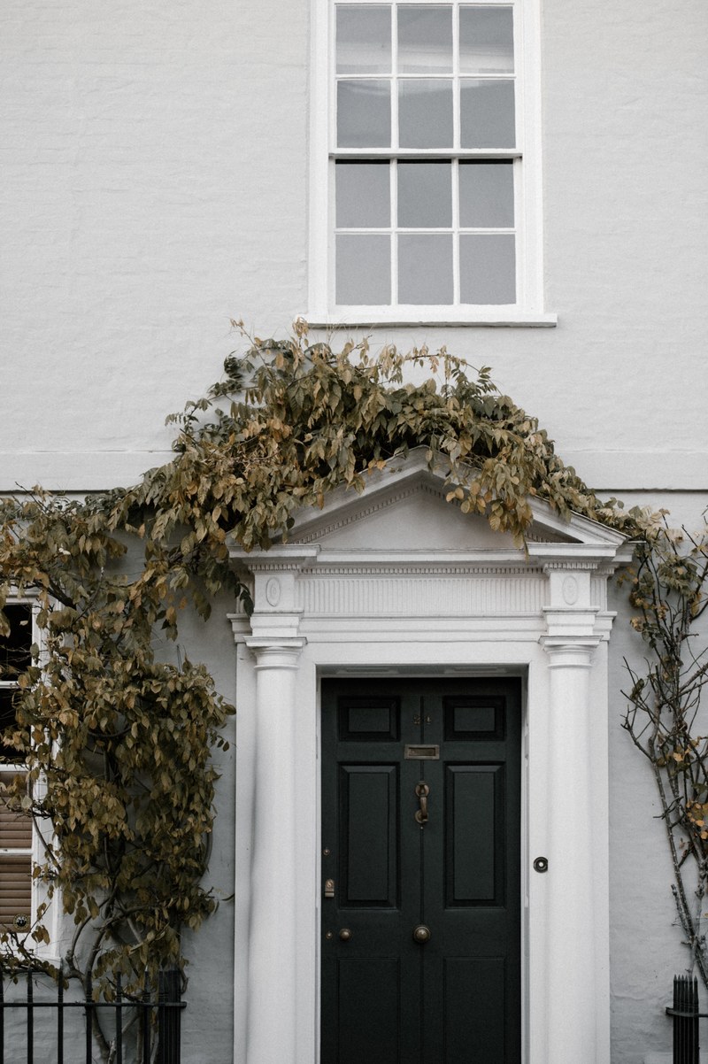 Doorway With Ivy 4K Phone Hd Wallpaper