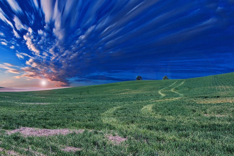 field meadow nature grass green landscape sky 4k HD Wallpaper
