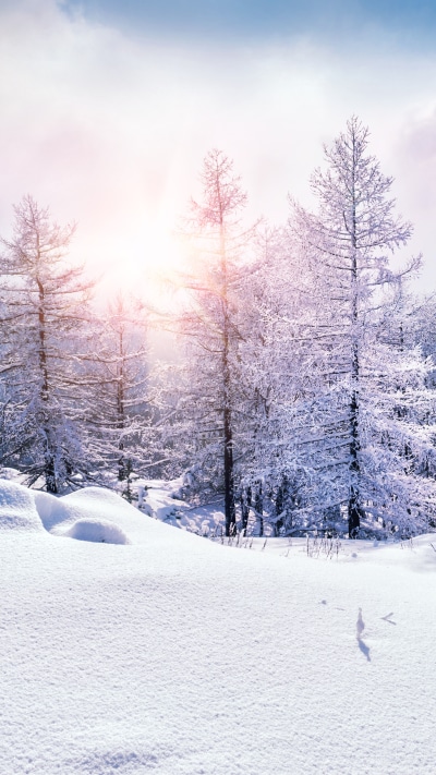 Earth Winter, 2160x3840 Phone HD Wallpaper
