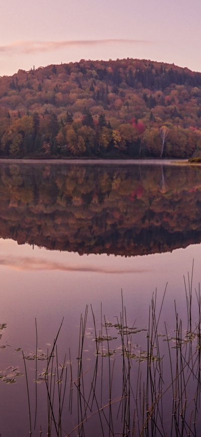 Earth Lake, Quebec, Reflection, 1440X3120 Phone Hd Wallpaper