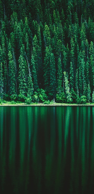 «Reflection Phone Wallpaper» HD wallpapers