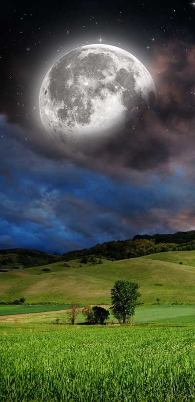 Earth Moon, Sky, Stars, Meadow, Field, Starry Sky, 1440x2960 Phone HD ...