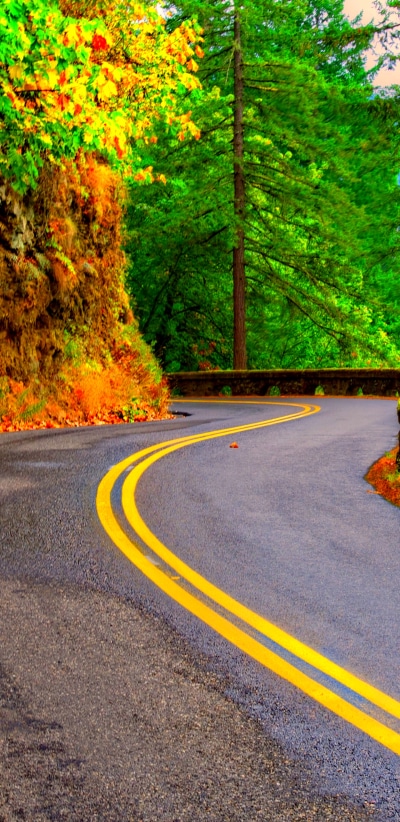 Man Made Road, Fall, 1440x2960 Phone HD Wallpaper