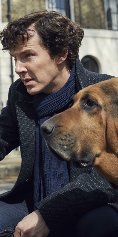 TV Show Sherlock, Sherlock Holmes, Benedict Cumberbatch, 1080x2160 ...