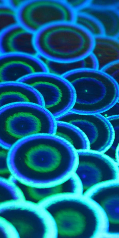 Abstract Circle, Shapes, Blue, 1080x2160 Phone HD Wallpaper