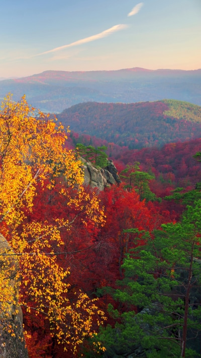 Wallpaper ID: 398373 / Earth Fall Phone Wallpaper, Mountain, Forest ...