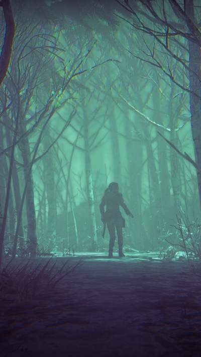 Video Game Rise of the Tomb Raider, Lara Croft, 1080x1920 Phone HD ...