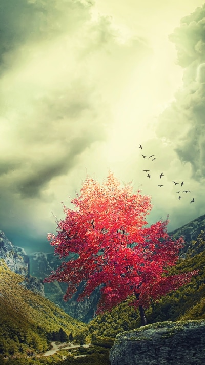 Earth Tree, Mountain, Valley, Landscape, Fall, Earth, 1080x1920 Phone ...