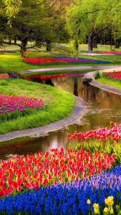 Photography Park, 1080X1920 Phone Hd Wallpaper