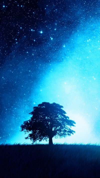 Earth Tree, 1080X1920 Phone Hd Wallpaper