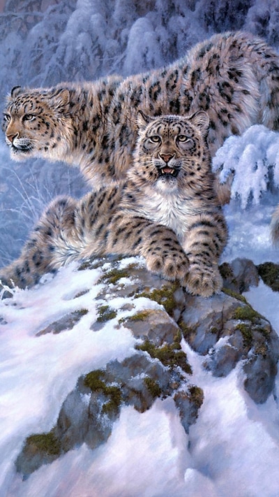 Animal Snow Leopard, 750x1334 Phone HD Wallpaper