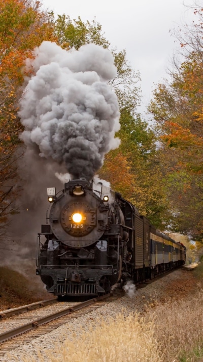 Vehicles Train, Railroad, Smoke, Vehicle, Locomotive, Fall, 720X1280 ...