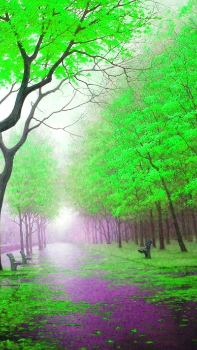 Photography Park, 720x1280 Phone HD Wallpaper