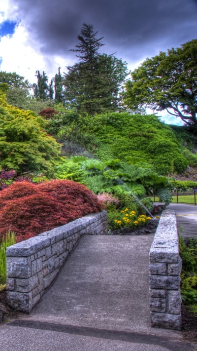 Photography Park, Garden, 720x1280 Phone HD Wallpaper