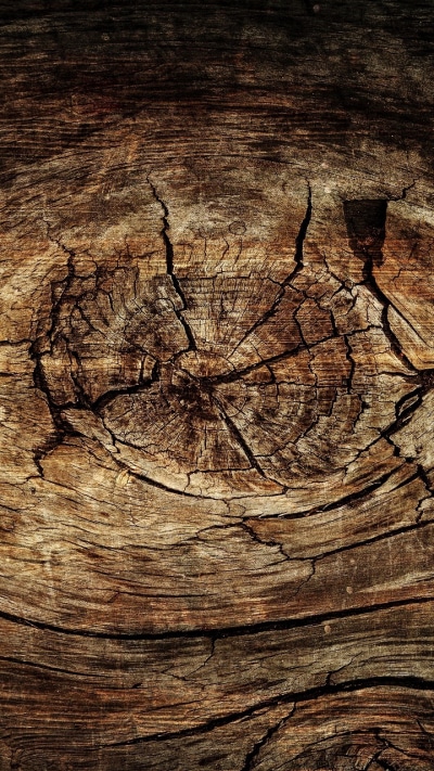 Artistic Wood, 720x1280 Phone HD Wallpaper
