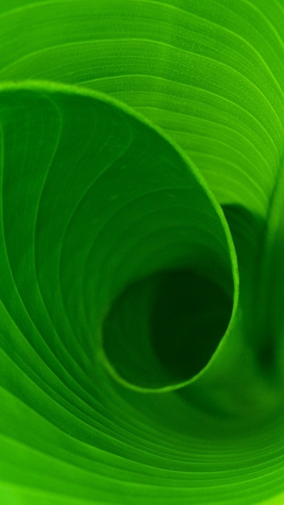 «Close Up Phone Wallpaper» HD wallpapers