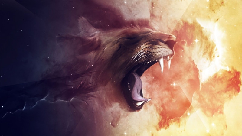 domestic, animal, close-up, roar, 1080P, mammal, space, pets, domestic ...