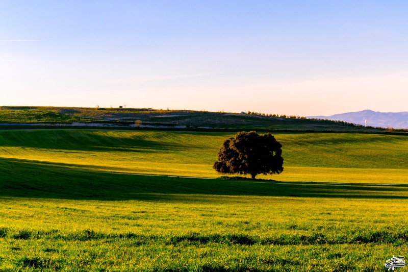 «Mountain View» HD wallpapers