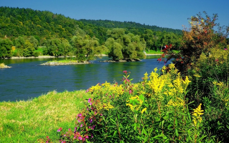 1080P, Nature High Resolution 1920X1200 Hd Wallpaper
