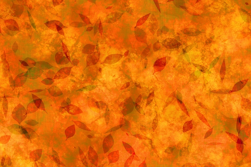 «parchment paper» 1080P, 2k, 4k Full HD Wallpapers, Backgrounds Free ...