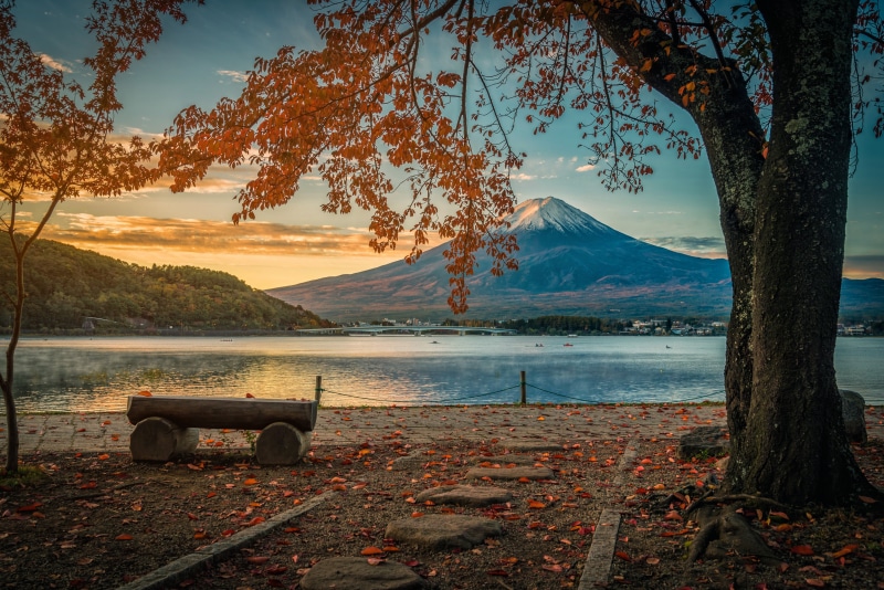 mount Fuji, leaves, Park, tree, colorful, autumn, trees, Fuji mountain ...