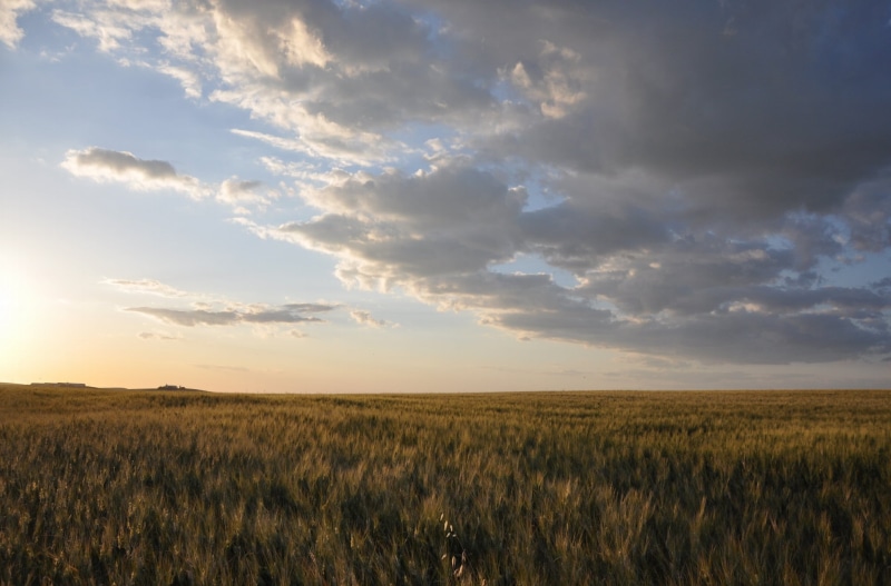 1080P, mi, landscape, sky, sunlight, nature, green, dusk, agriculture ...