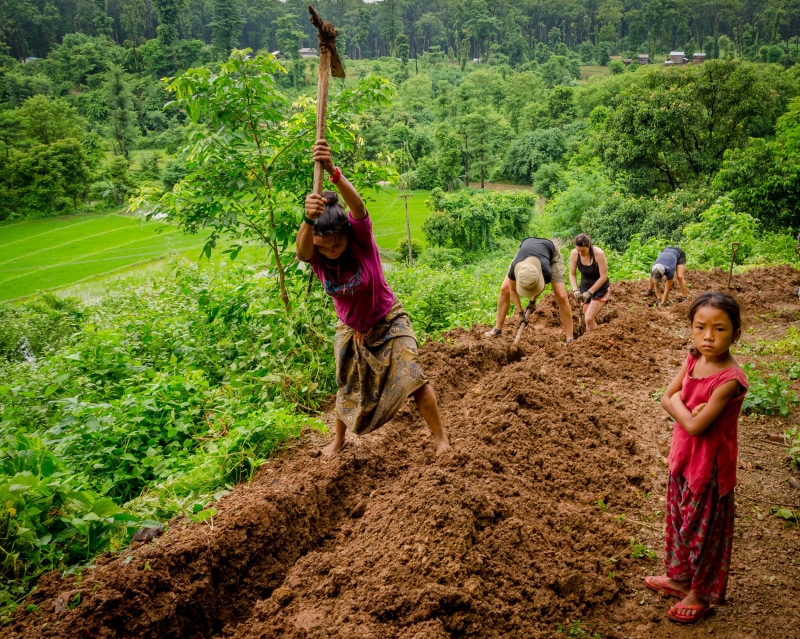 rainforest, labor work, human, childhood, labour work, farm, earth ...