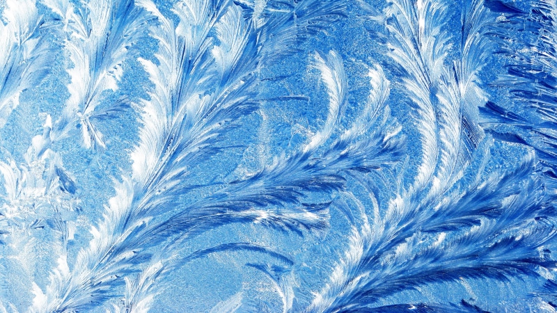 4K, feather, white color, full frame, backgrounds, abstract ...