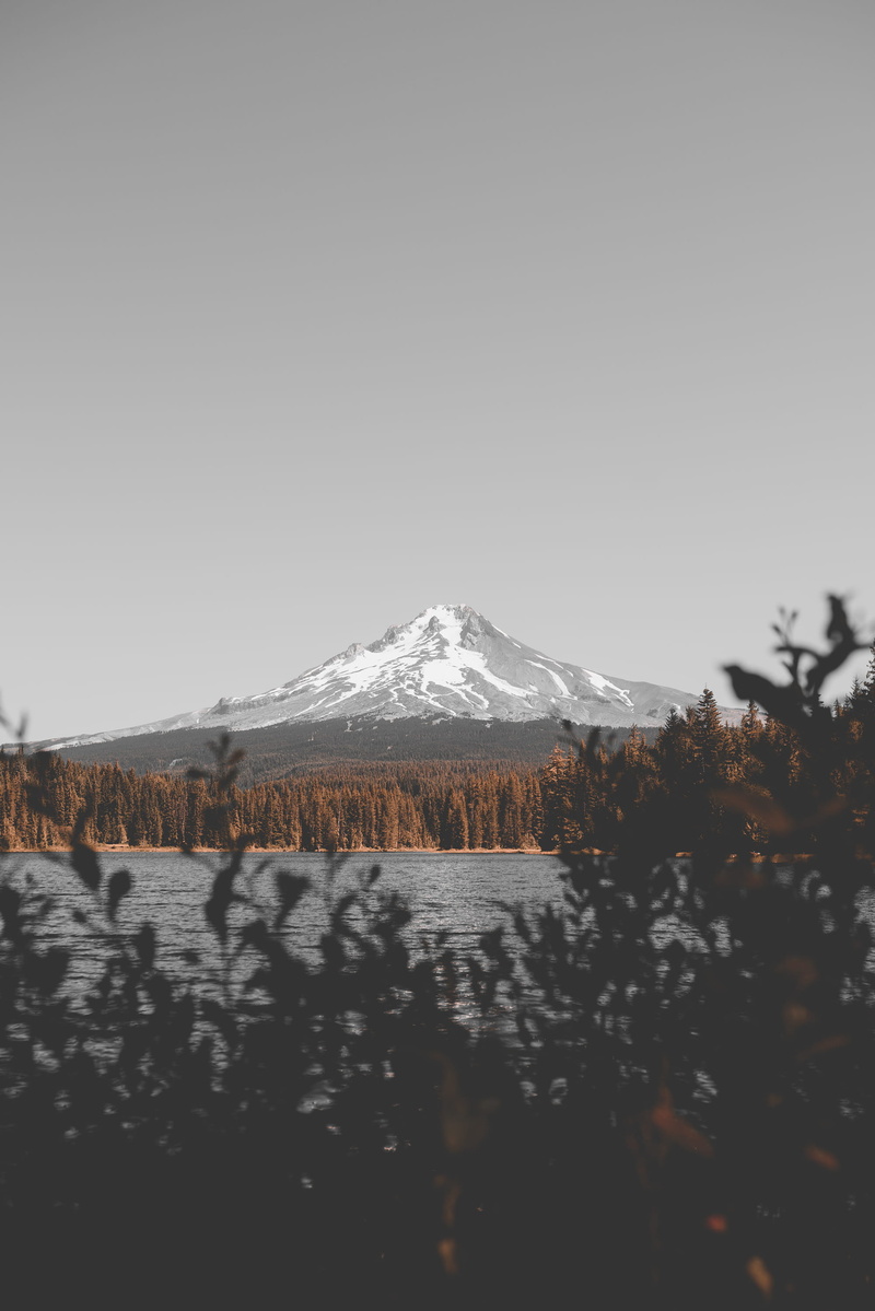 pnw, tranquil scene, peak, moody, no clouds, sky, mountain, plant ...