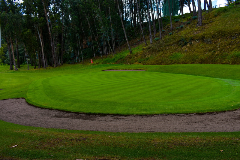5K, golf, lawn, plain, beauty in nature, green color, tranquility ...