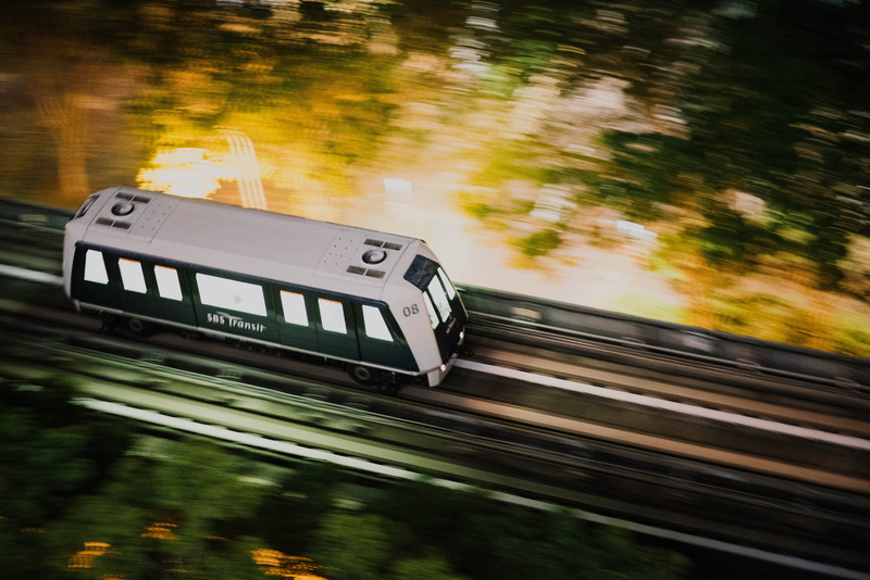 08, time, train, carriage, caravan, tree, intransit, rail ...