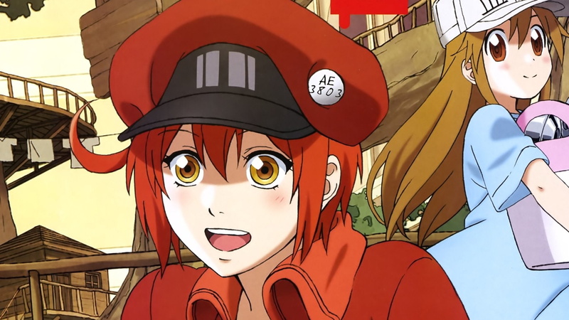 Anime, Cells at Work!, 1080P, AE3803 (Cells at Work), Platelet (Cells ...