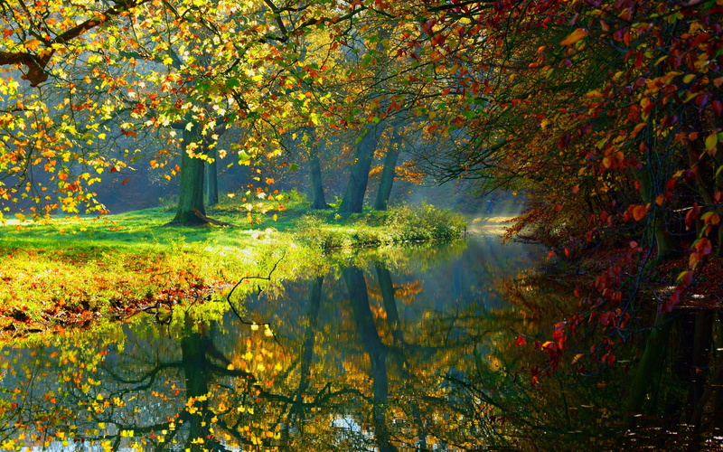 Scenery, 2K, Autumn, Trees, Sunlight, Nature, River HD Wallpaper