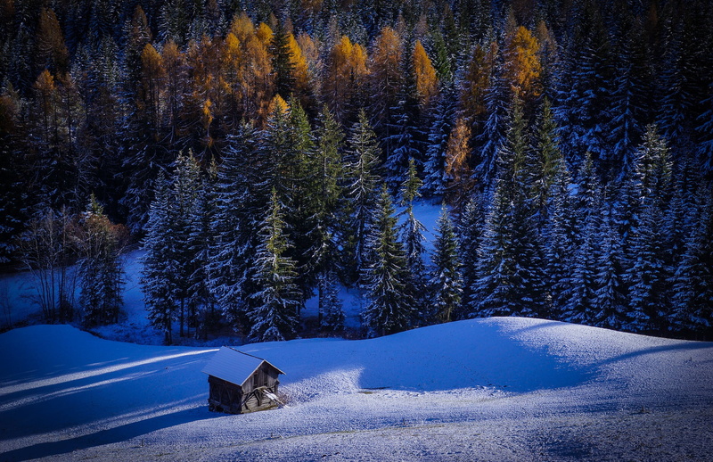 leafed, discovery, tranquility, environment, hut, cold temperature ...