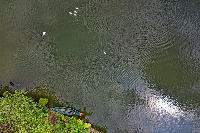 Aerial View, Colors, Leaf, Bright, Daytime, Kayak, Plant, Environment ...