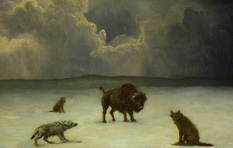 Albert Bierstadt, picture, Trapped, Buffalo, 2K, wolf, animals HD Wallpaper
